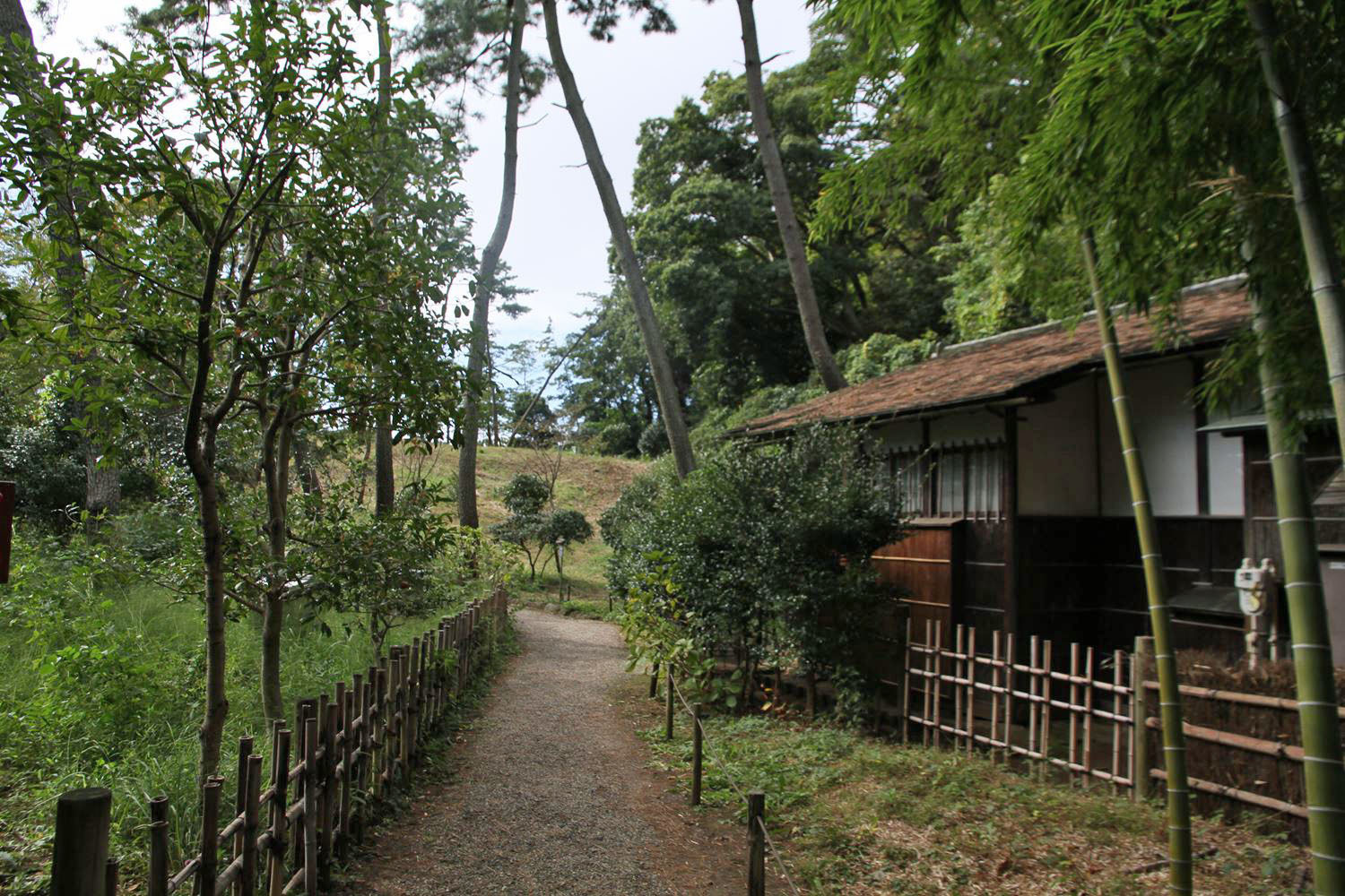 三溪園 2024年10月22日: 三溪園探訪