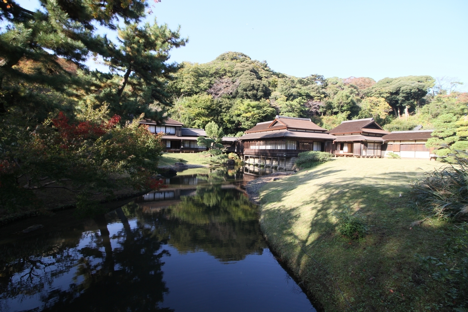 三溪園 2024年11月19日: 三溪園探訪